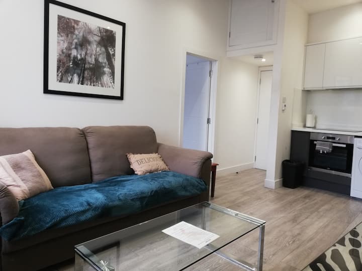 Central 1 Bedroom With Free Parking - Newbury