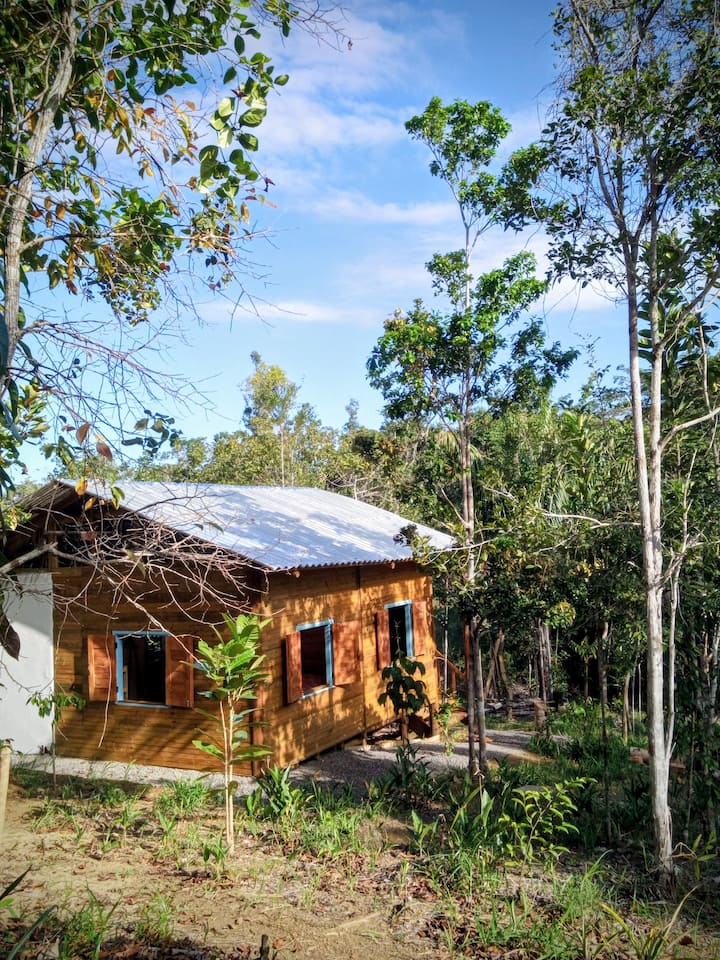 Cabana Mata Atlântica - Brazil