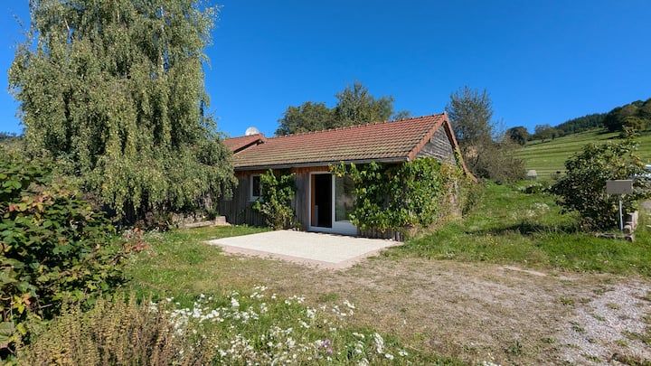 2 Chalets éCologiques, Jacuzzi, Montagne Vosges - Vosges