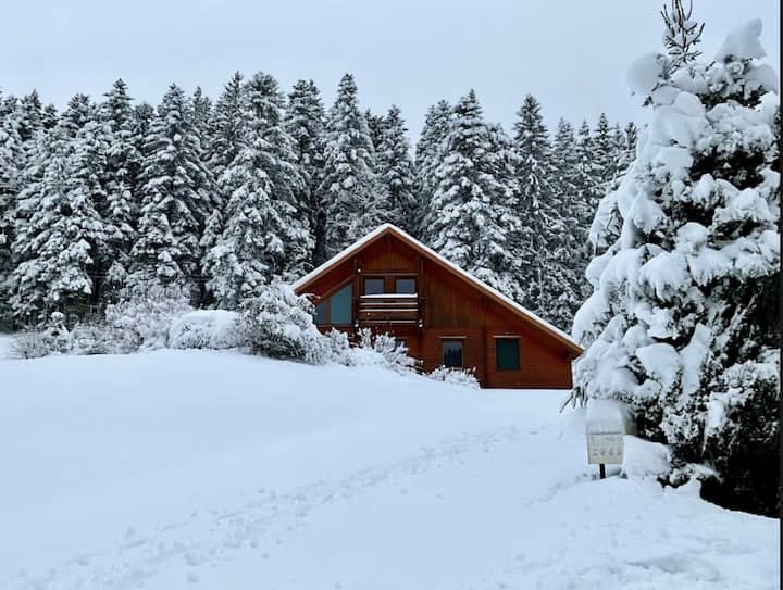 Le Chalet Vanneau Vue Montagne Proche Des Stations - Xonrupt-Longemer