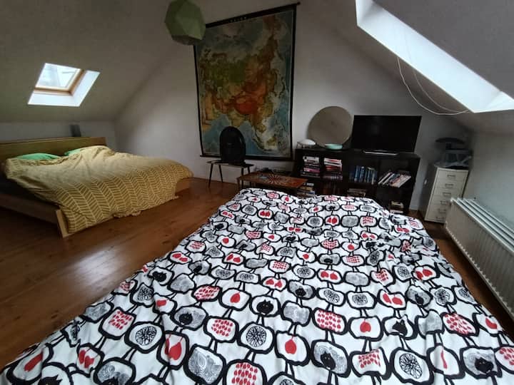 Big Room - Antwerp, Belgium