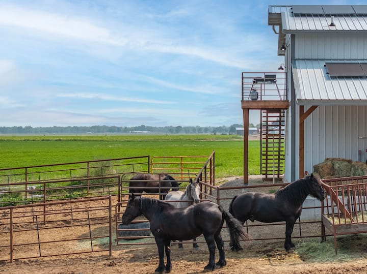 Camp Creek Cottage - Missouri Headwaters State Park, Three Forks