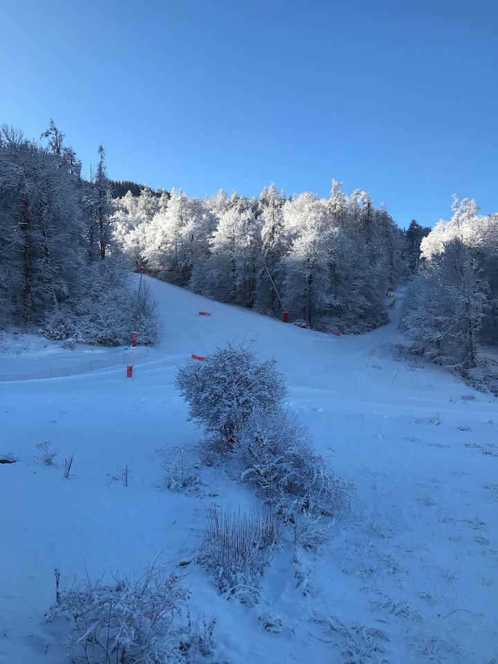 T3-70 M² 1er éTage Pied Des Pistes - Taillas - Orcières Merlette