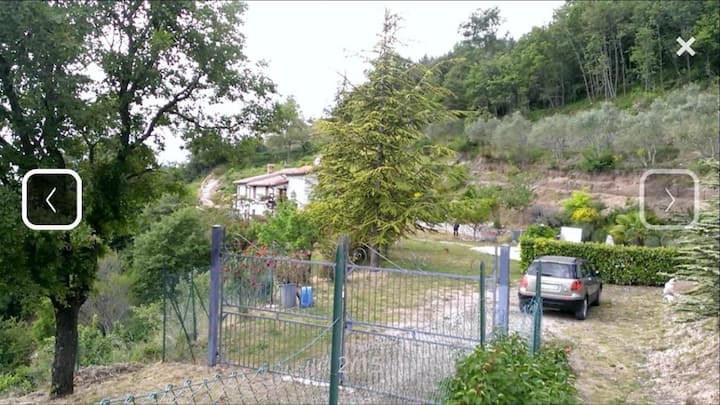 Vigna Renaro Winter Elegant - Gubbio