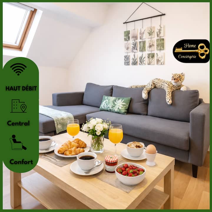 Jungle- Lumineux -Centre- Confort - Boulogne-sur-Mer