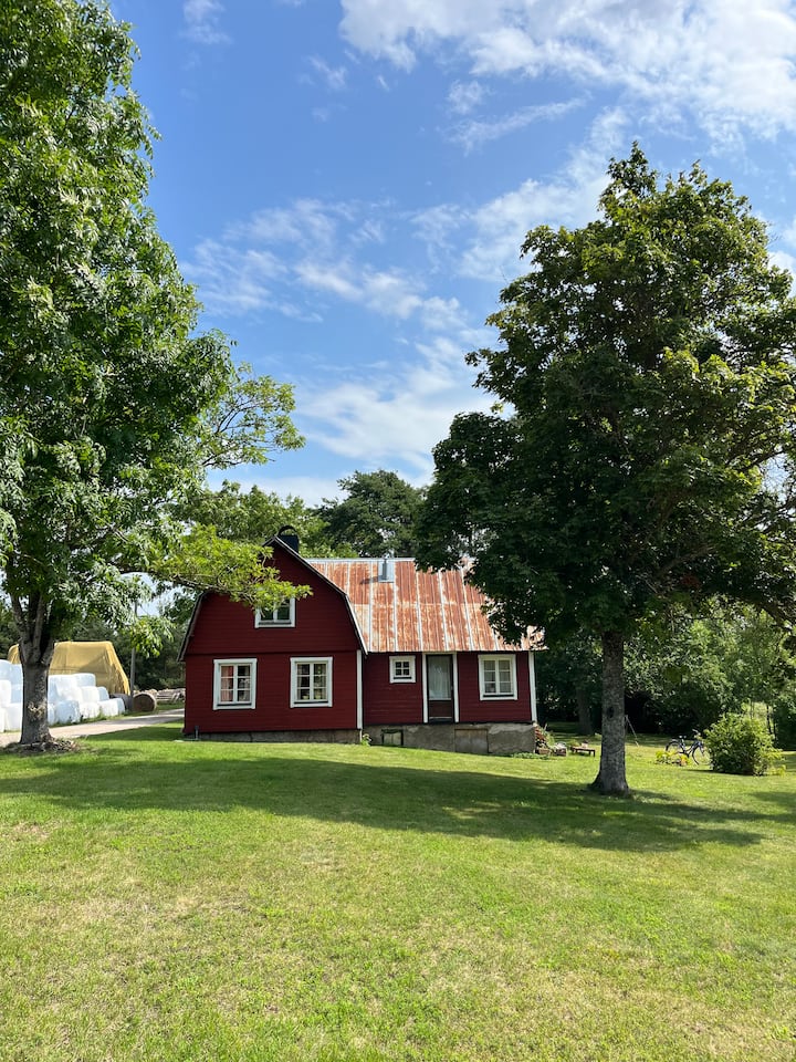 Naturnära Stuga I Levide - Gotland län
