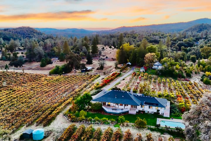 Near Yosemite | Vineyard | Pool | Game Room - Mariposa