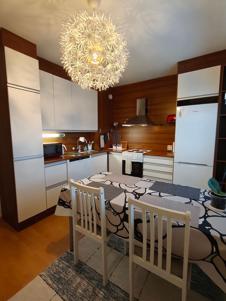 Rauhaisa Ja Tilava Huoneisto - Kemi