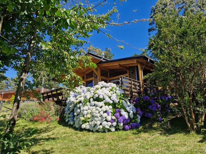 Cabaña Raihue 2, Un Rincón Del Paraíso - Lago Ranco