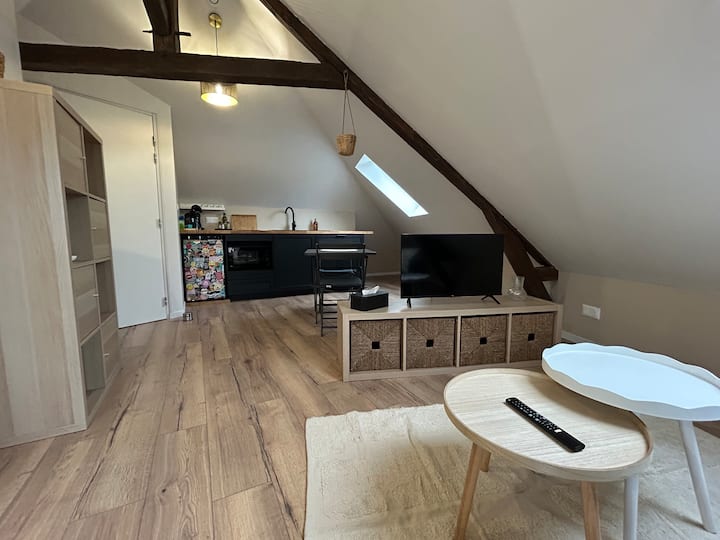 Studio " La Dentellière " - Caudry