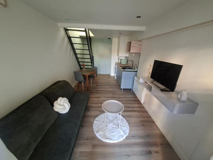 Appartement Duplex 5min à Pied Du Décathlon Arena - Lezennes
