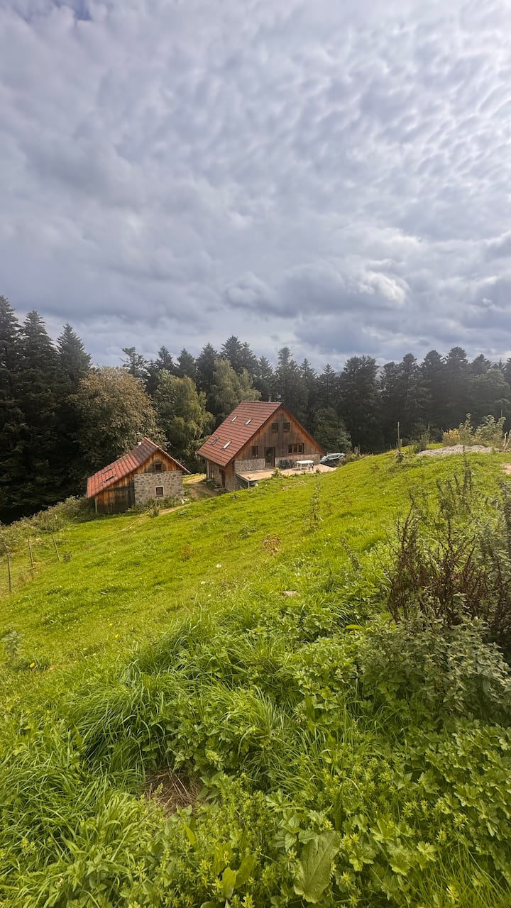 Cottage "Saasberg" - Munster, France