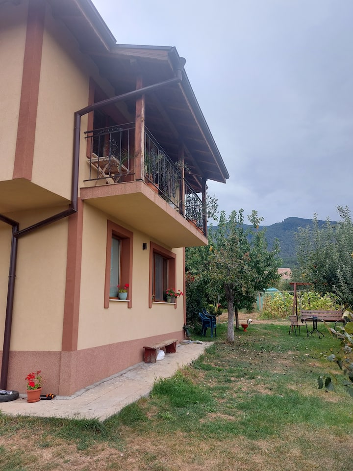 House With Sunflowers - Panichishte