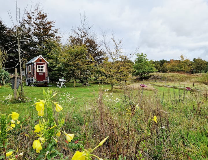 'T Pandje (Micro Tinyhouse) - Amersfoort