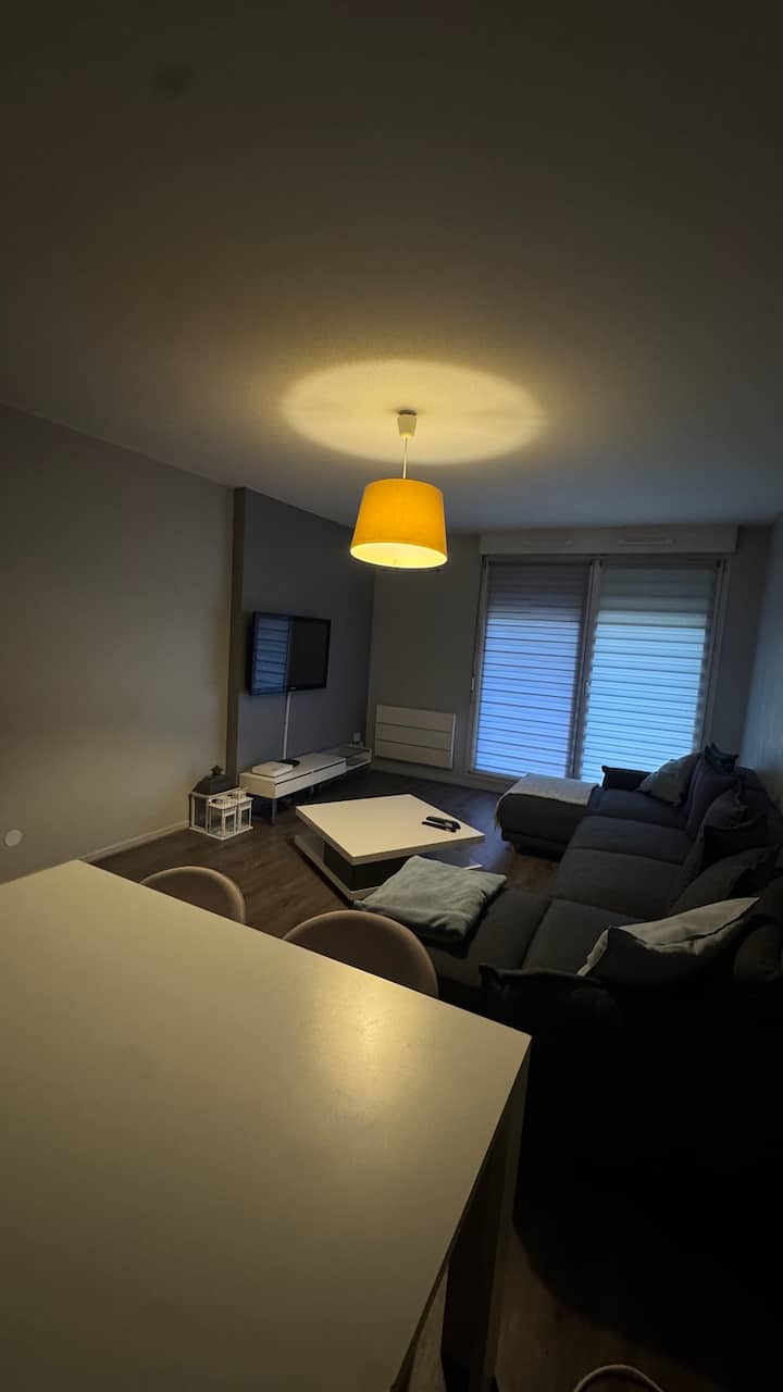 Cosy F2 Parking Proche Centre Strasbourg - Hœnheim