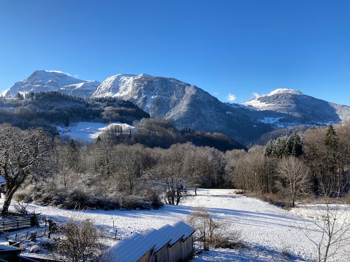 Logement De Charme Dans Un Chalet - 18 Pers Max - Samoëns