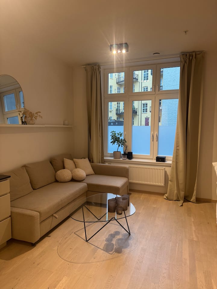 Stilren Studioleilighet Midt På Solli/frogner - Oslo