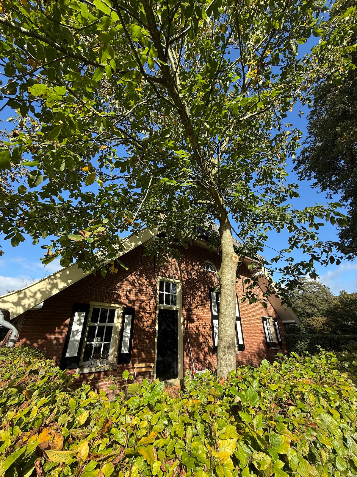 Barn idyll in the middle of nature! - Bed and breakfasts for Rent in ...