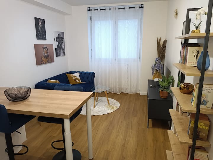 Le Raffiné - Centre-ville - T2 - Saint-Étienne