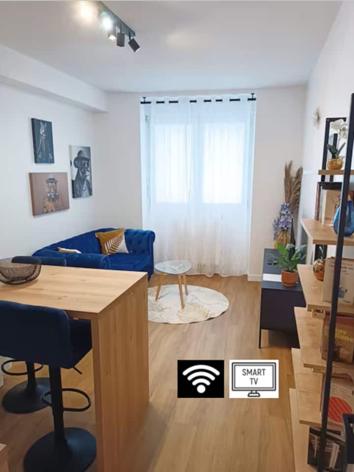 Le Raffiné - Centre-ville - T2 - Saint-Étienne