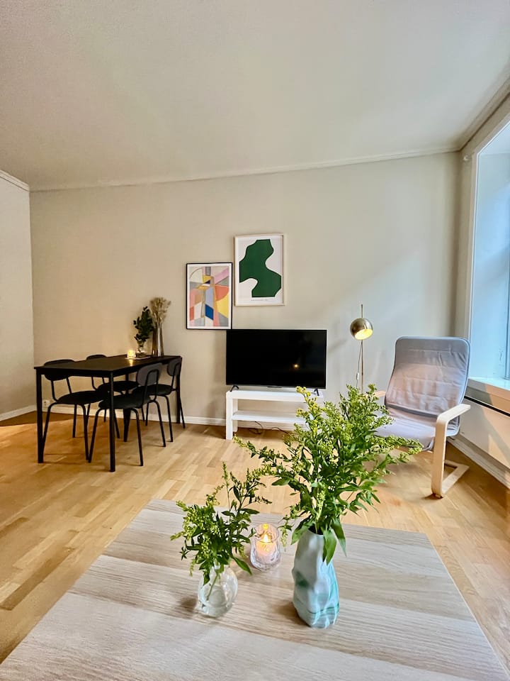 Cozy & Spacious Flat In Central St. Hanshaugen - Oslo