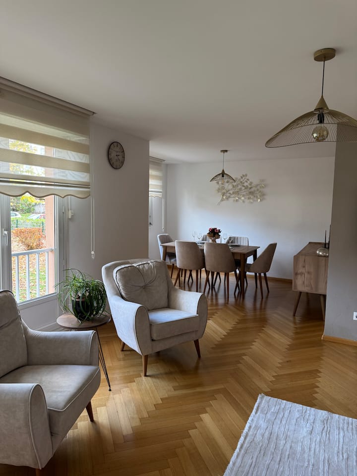 The Cosy Loft - Colmar - Colmar