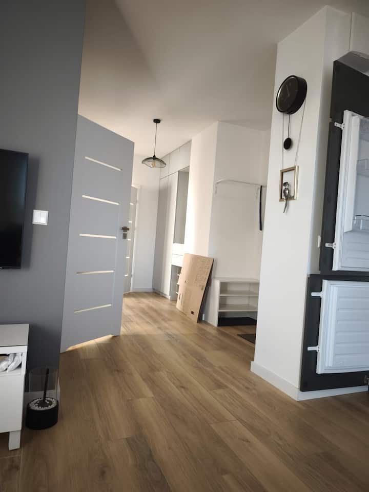 Penthouse Apartment - Łódź