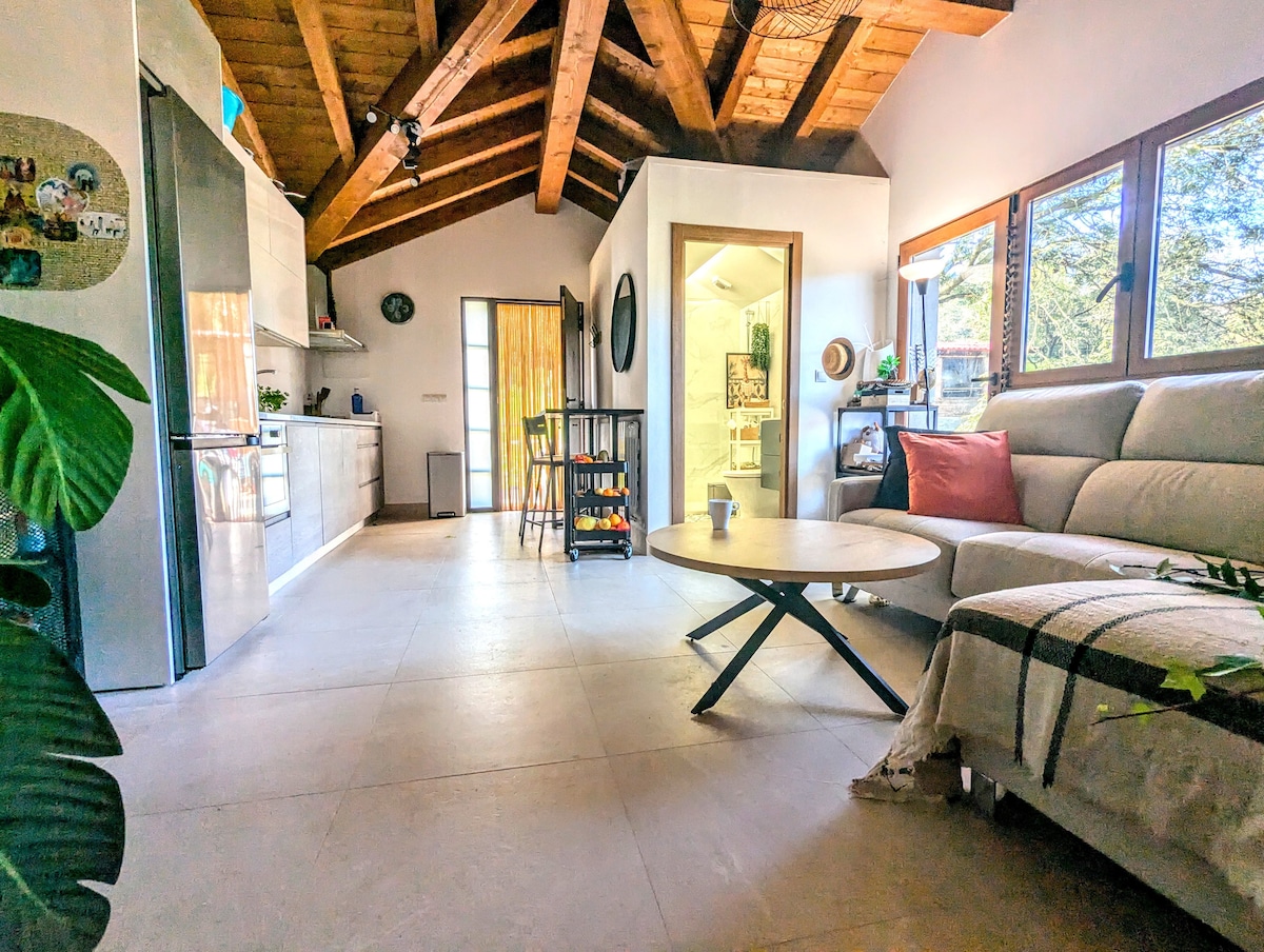 The Valley's Attic - Apartments for Rent in Ortuella, Basque Country ...