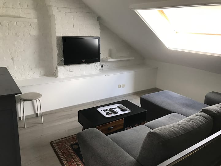 Knus Appartement Op Wandelafstand Van Leuven - Leuven