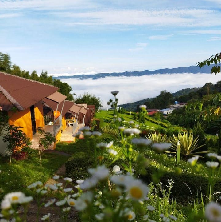 Family Room - Thoeng District