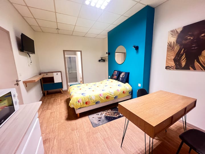 Beau Studio Meublé En Centre De Niort, Rue Calme - Niort