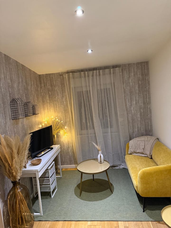 Grand Studio 40 M², Ambiance Chaleureuse - Stade de France