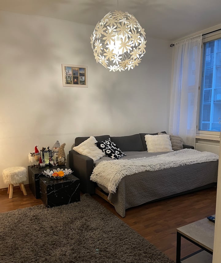 Tunnelmallinen Kaupunkikoti - Rovaniemi