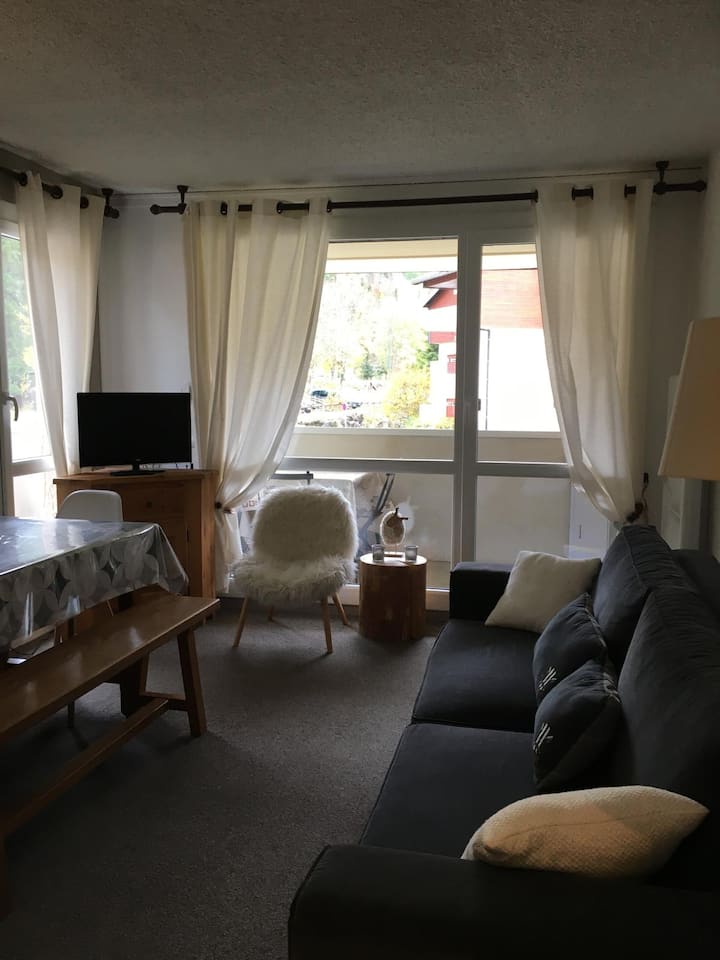 Appartement Situé Au Pied Des Pistes Du Vercors - Corrençon-en-Vercors