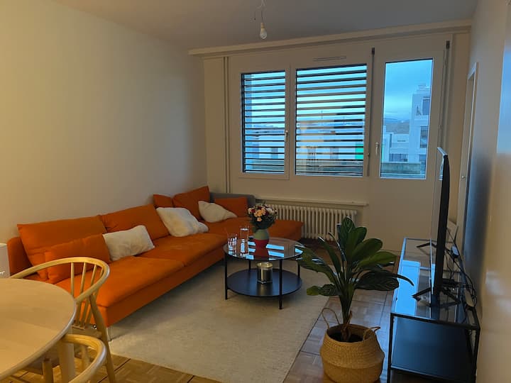Bright Apartment In Servette With Jura View - Geneva