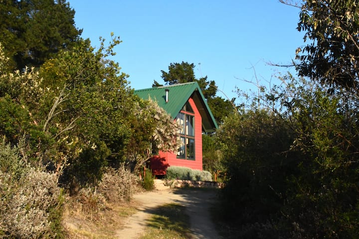 Villa Rica Cabin - Wilderness