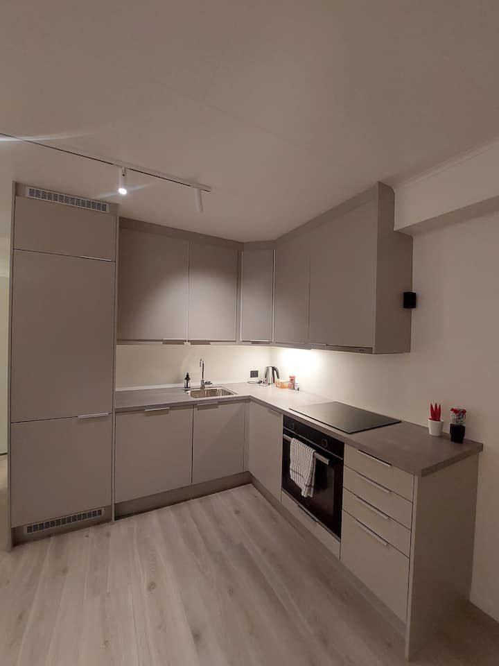 Treroms Leilighet I Saga - Alta