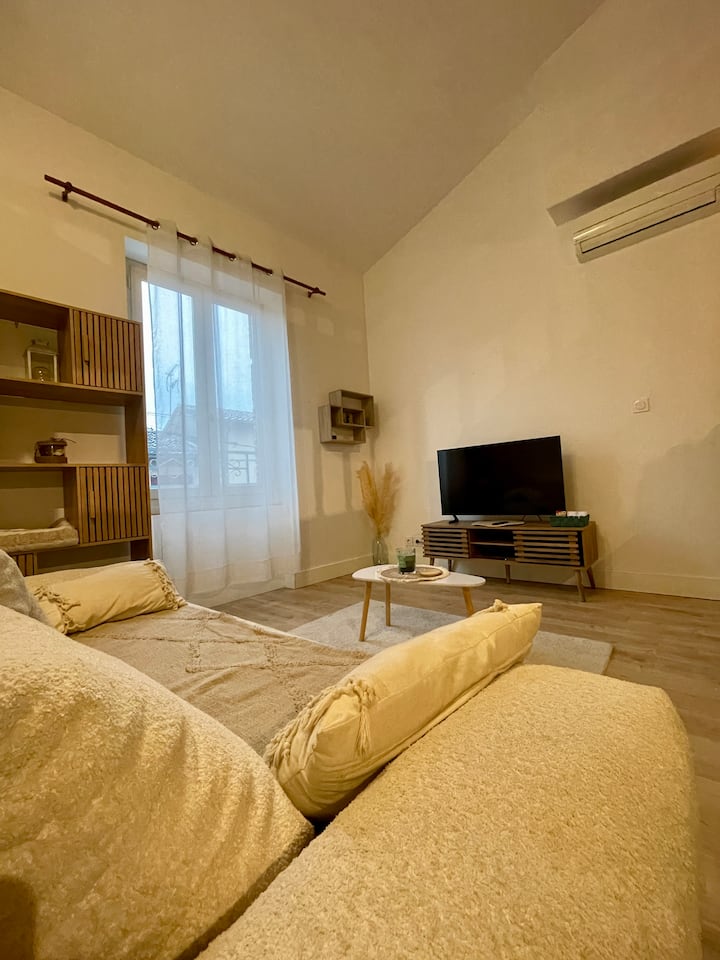 Le Cocon - Hôpital - Netflix - Climatisation - Montauban