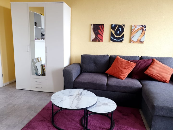 Möbliertes Komfort-apartment In Düsseldorf-rath - Düsseldorf