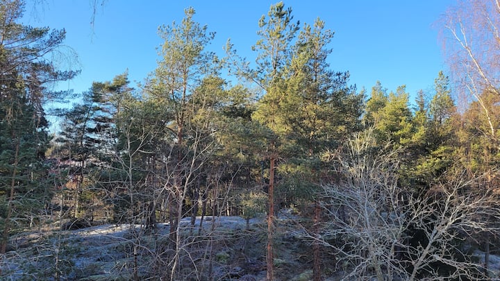 Trivsam Lägenhet Nära Pendeltåg Och Skogen - Nykvarn