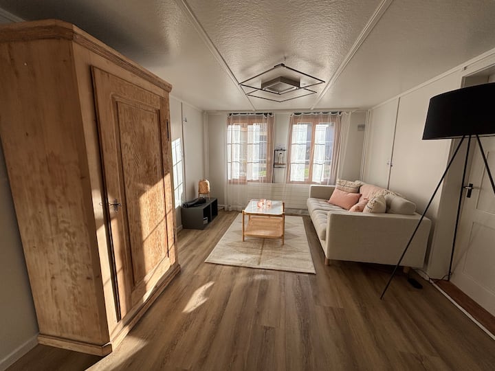 Grosszügige 2-zi-wohnung Mit Parkplatz - Frutigen