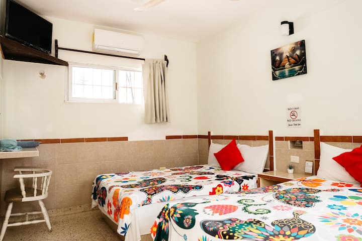 Hab. Privada 2 Camas Matrimoniales Con Tv Y A/c - Cozumel