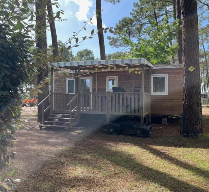 Bungalow Neuf Sous Les Pins Avec Grande Douche - Contis-Plage