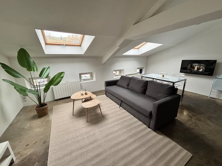 Appartement Loft Proche Frontières - Longwy