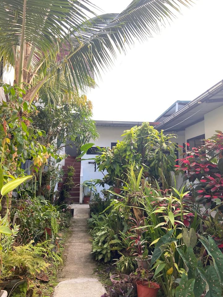 Selva Chic~departamento En Tena - Napo