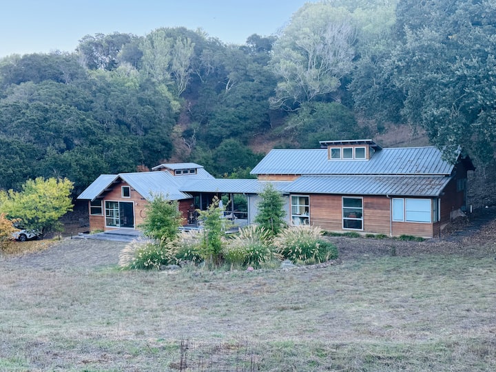 Modern Marin Retreat On 6 Acres—dog Friendly - Novato, CA