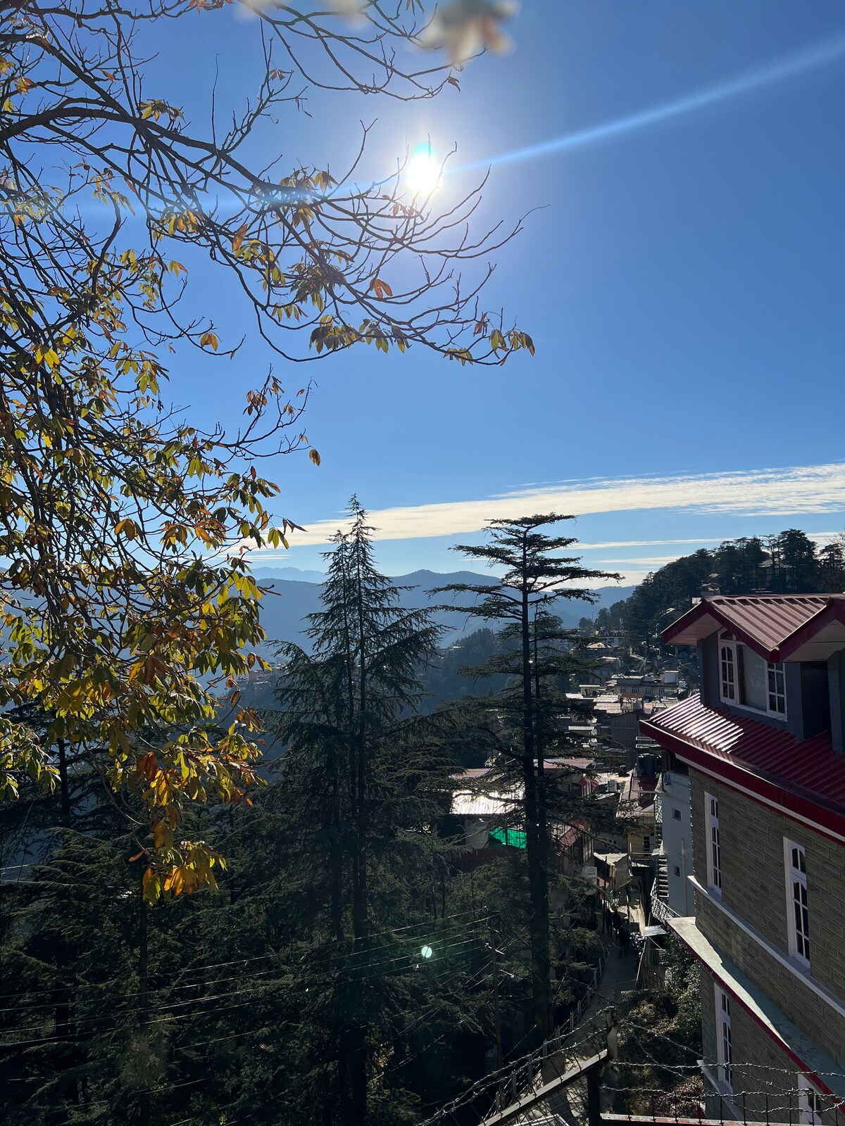 Chinar Tree Lodge: un paraíso en Shimla - Airbnb