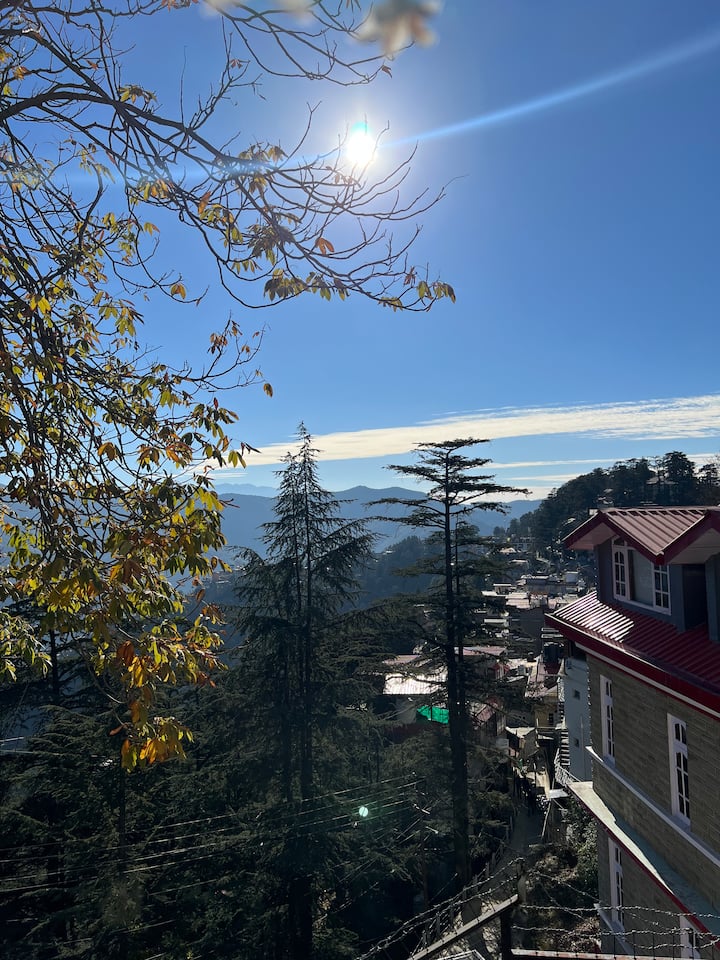 Chinar Tree Lodge - Paradise In Shimla - Shimla