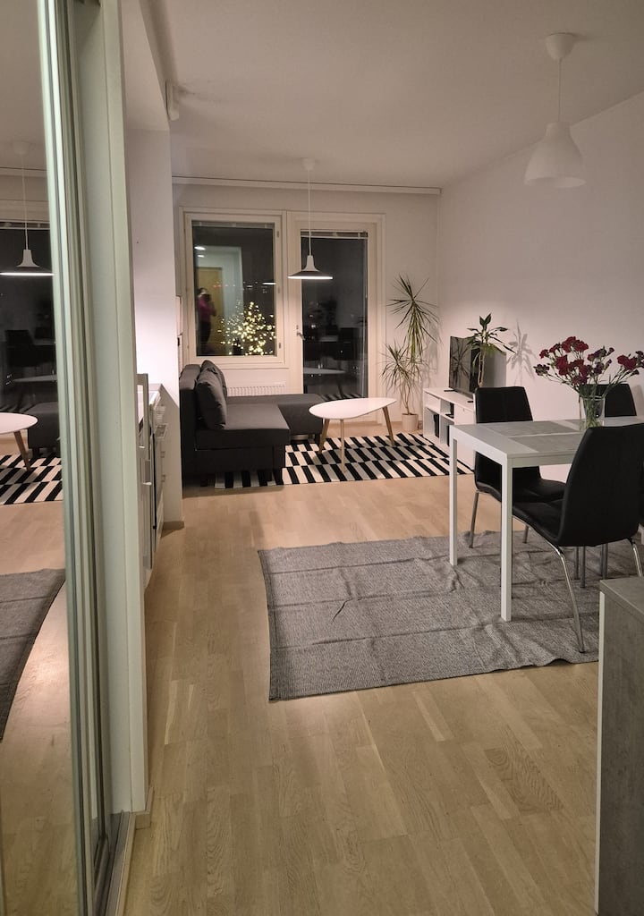 Iso Saunallinen Yksiö Lasitetulla Parvekkeella - Tampere