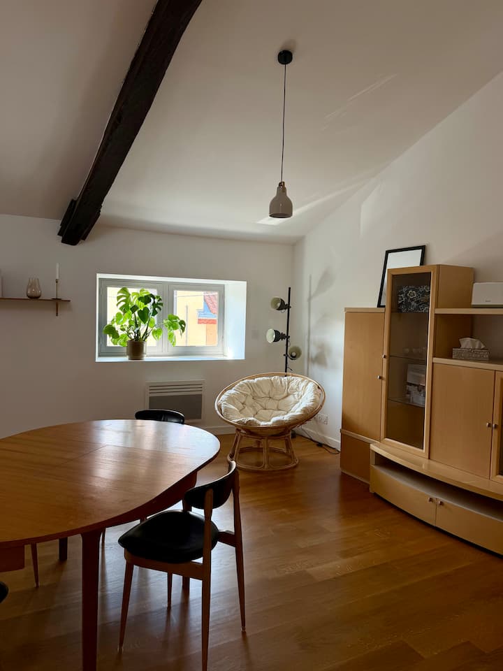 Appartement Spacieux Rénové - Pont-du-Château